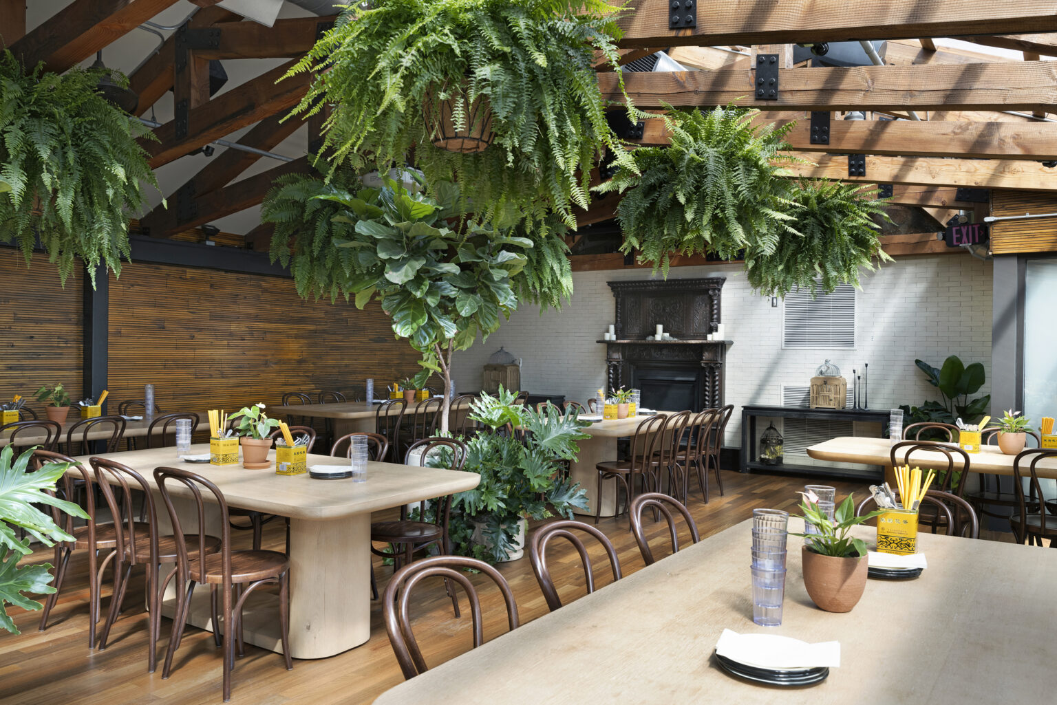 The Making Of Gai Noi: A Room-by-Room Transformation